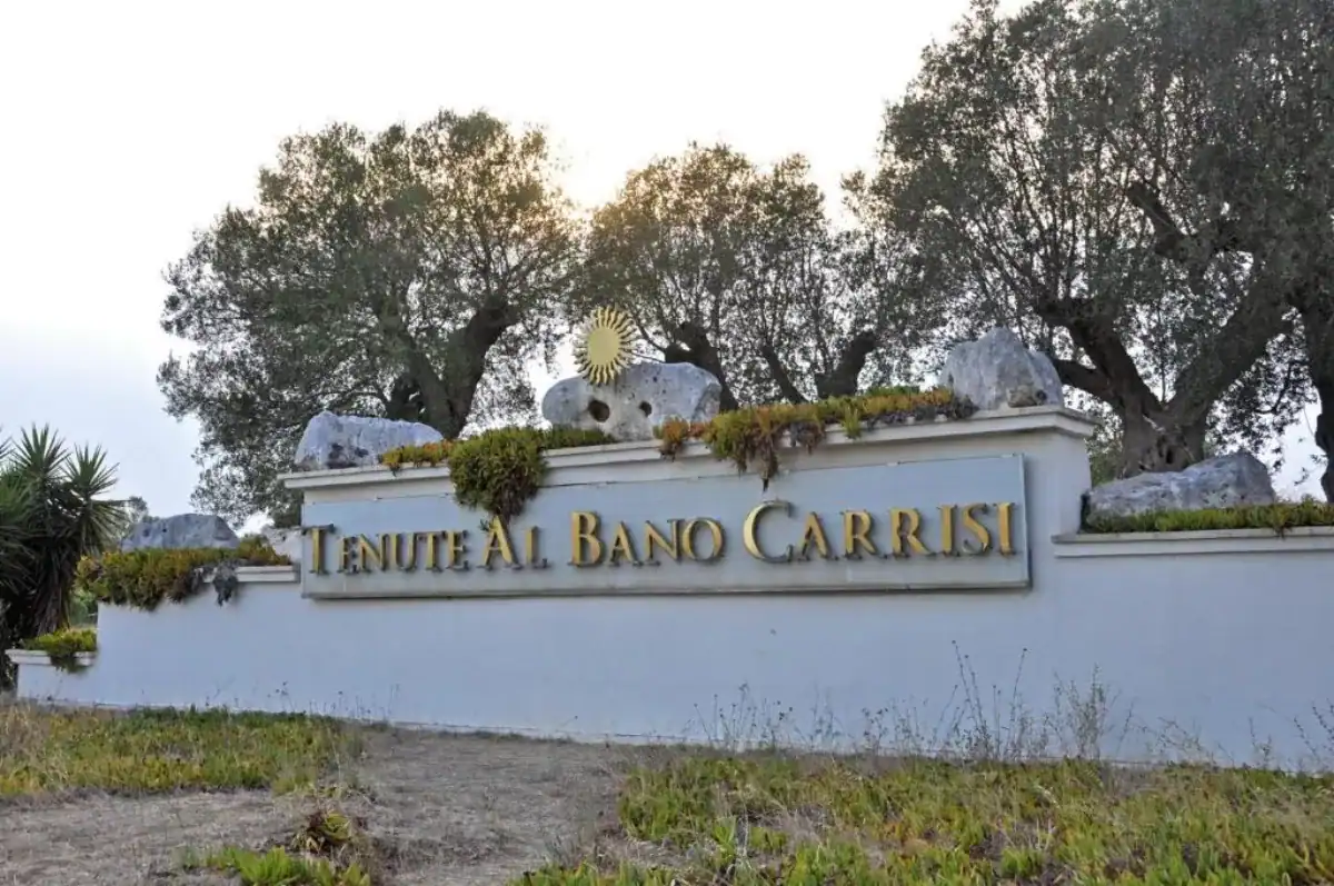 Tenute Al Bano in Apulien – Weingut, Resort & Kultur mit Seele